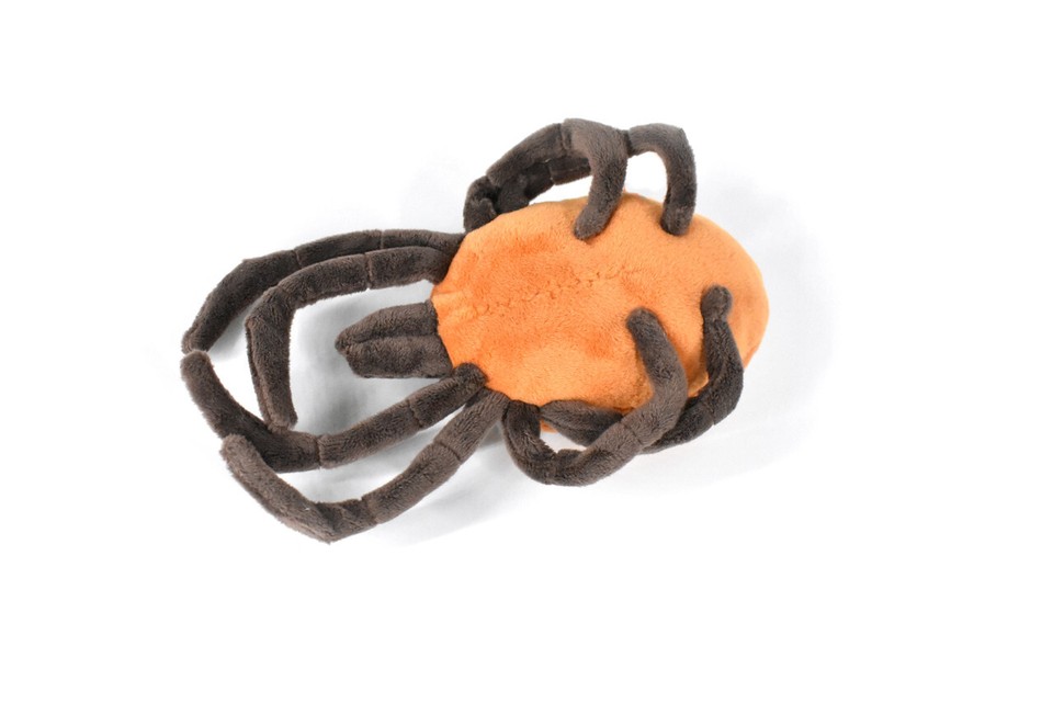 Toy Tick Plushy, Stuffed Animal, Plush Insect Bug, Educational, 7 ...