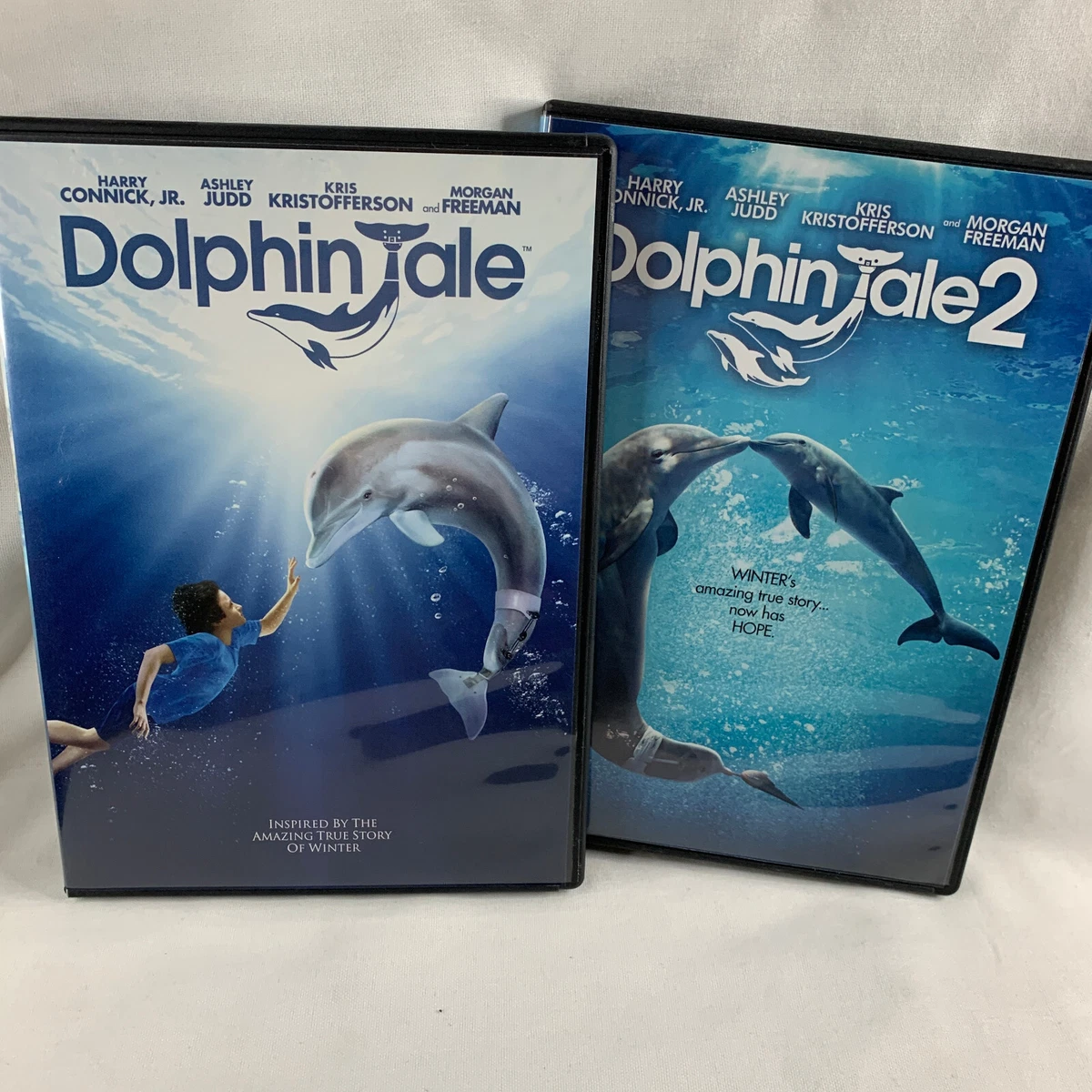 Dolphin Tale 2