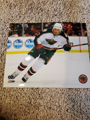 Photo File NHL Todd Fedoruk Minnesota Wild 8x10 Photo | eBay