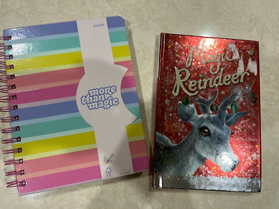 girls MORE THAN MAGIC JOURNAL diary MAGIC REINDEER NOVEL chapter book ...
