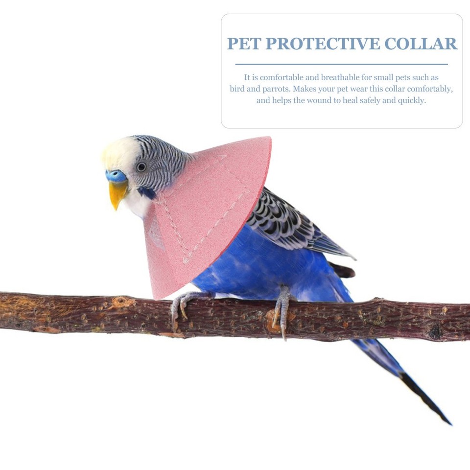 4pcs Small Birds Neck Ring Parrots Anti- Recovery Collar (Mixed Color ...