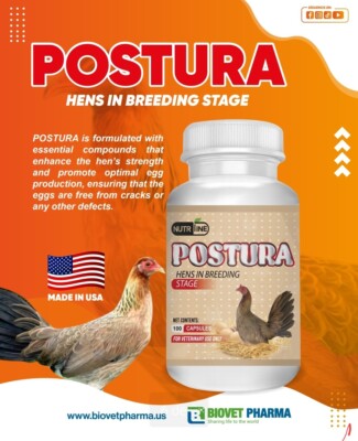 POSTURA for Hens Bone and Egg Builder 100 Caps Supplements Para ...