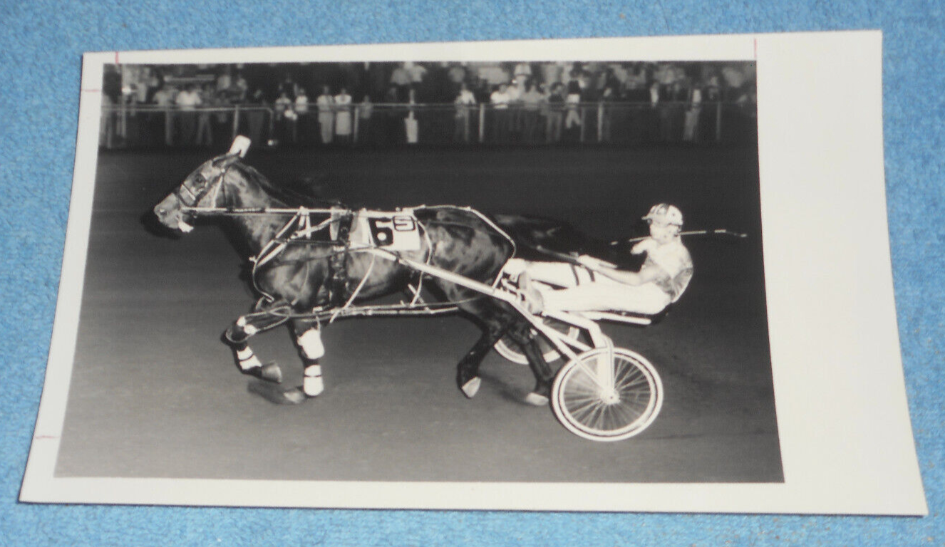 1980 Harness Racing Press Photo Horse "Thunder Bret" Howard Levine ...