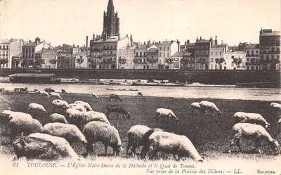 31-TOULOUSE-N T2242-A/0225 | eBay