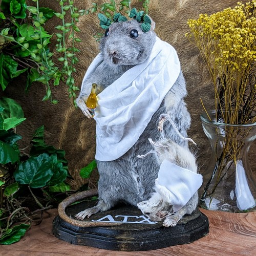 G35 Frat Rat Taxidermy Oddities Curiosities Mouse Animal House John ...