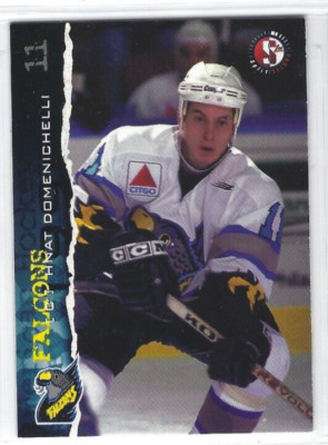 1996-97 Springfield Falcons (AHL) Hnat Domenichelli | eBay