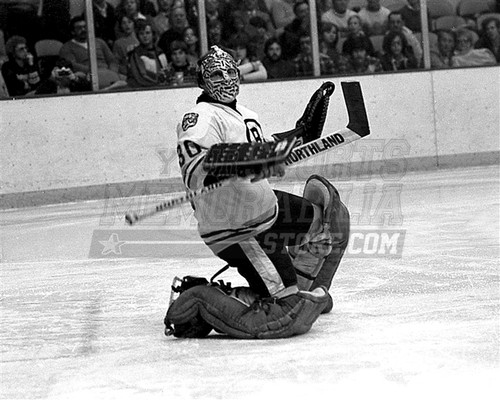 Gerry Cheevers Boston Bruins black and white goalie 8x10 11x14 16x20 ...