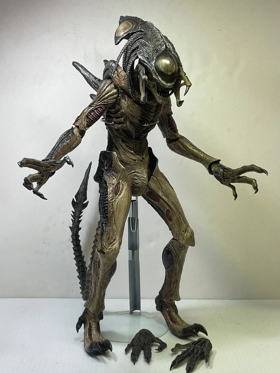 Avp Predalien