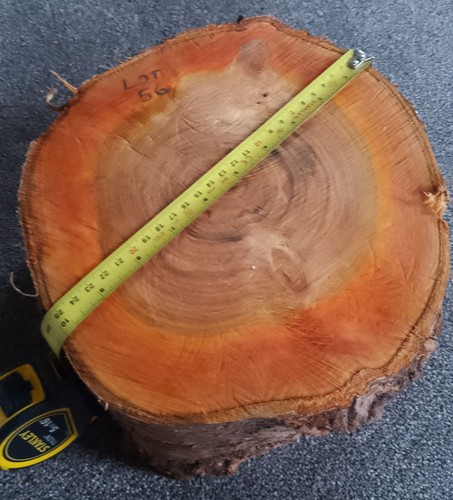 Large WILD CHERRY Log Slice woodturning blanks,carving,craft wood 6.7kg ...