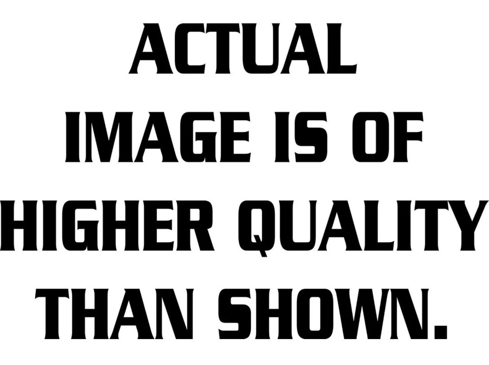 STOP THAT PIGEON T-SHIRT CARTOON HANNA BARBERA DICK DASTARDLY MUTLEY | eBay