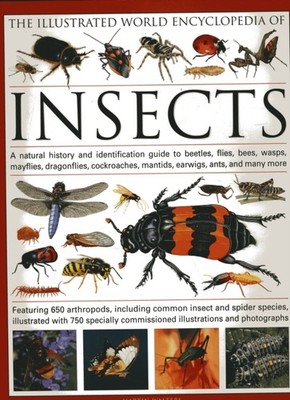 The Illustrated World Encyclopaedia of Insects by Martin Walters ...