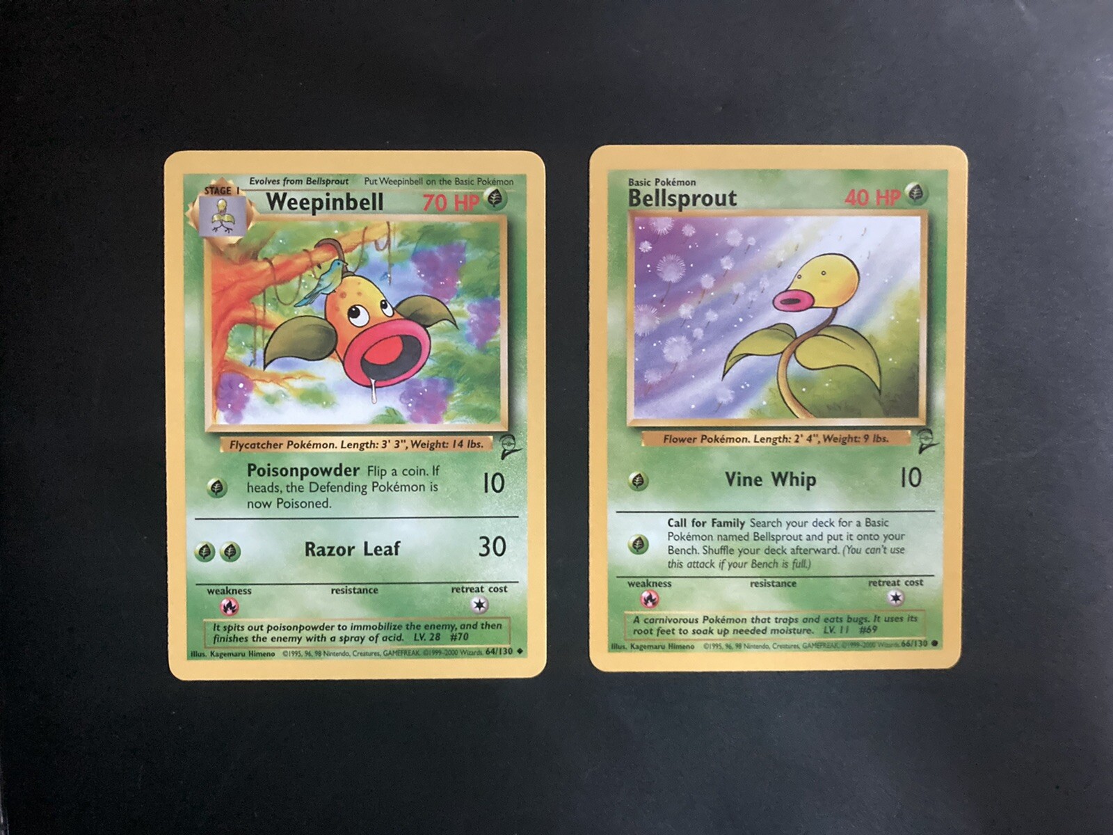 Bellsprout Evolution