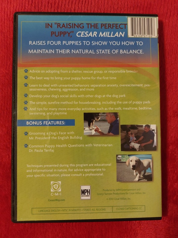 Cesar Millan's Mastering Leadership Series – Volume 6: Raising the Perfect Puppy | eBay