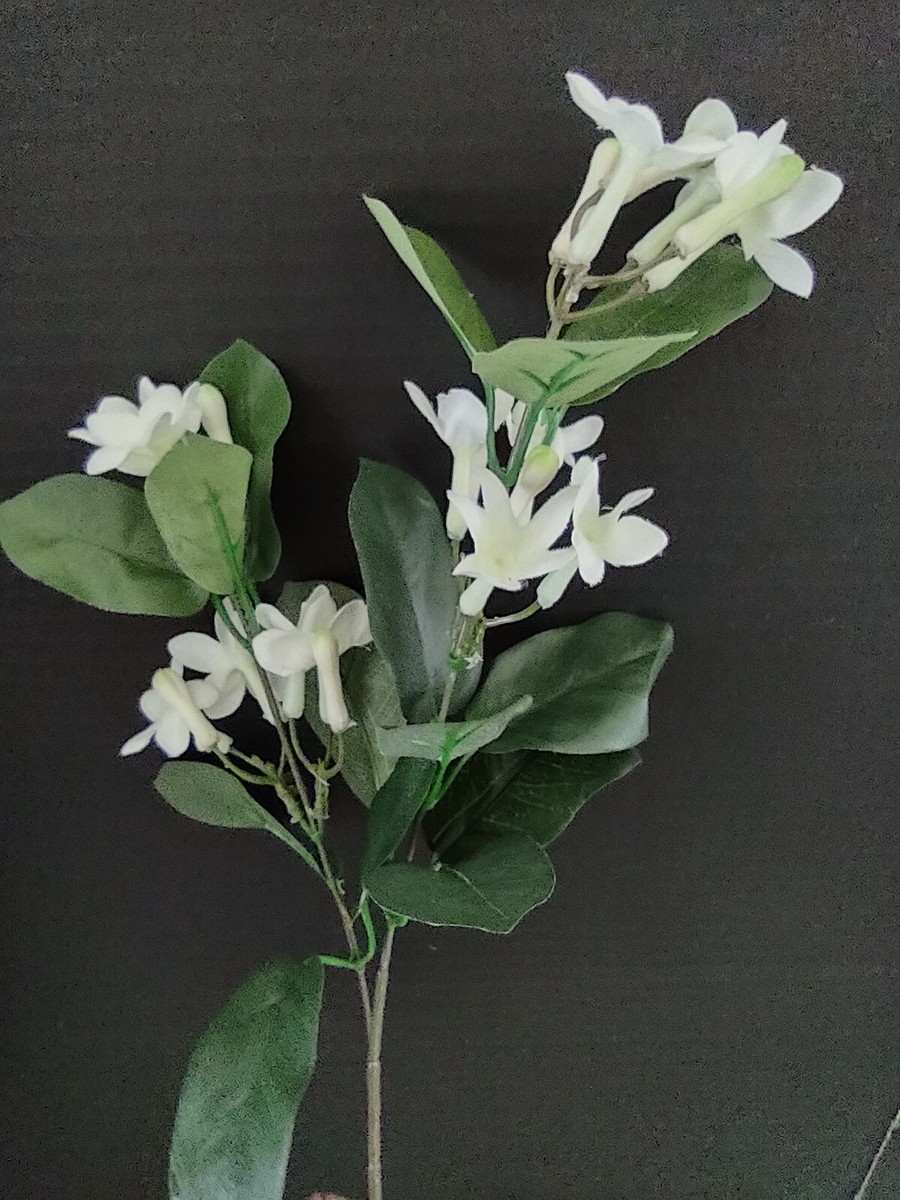 Bouquet Stephanotis Gorm Stephanotis Wedding Flowers | Arabia Weddings