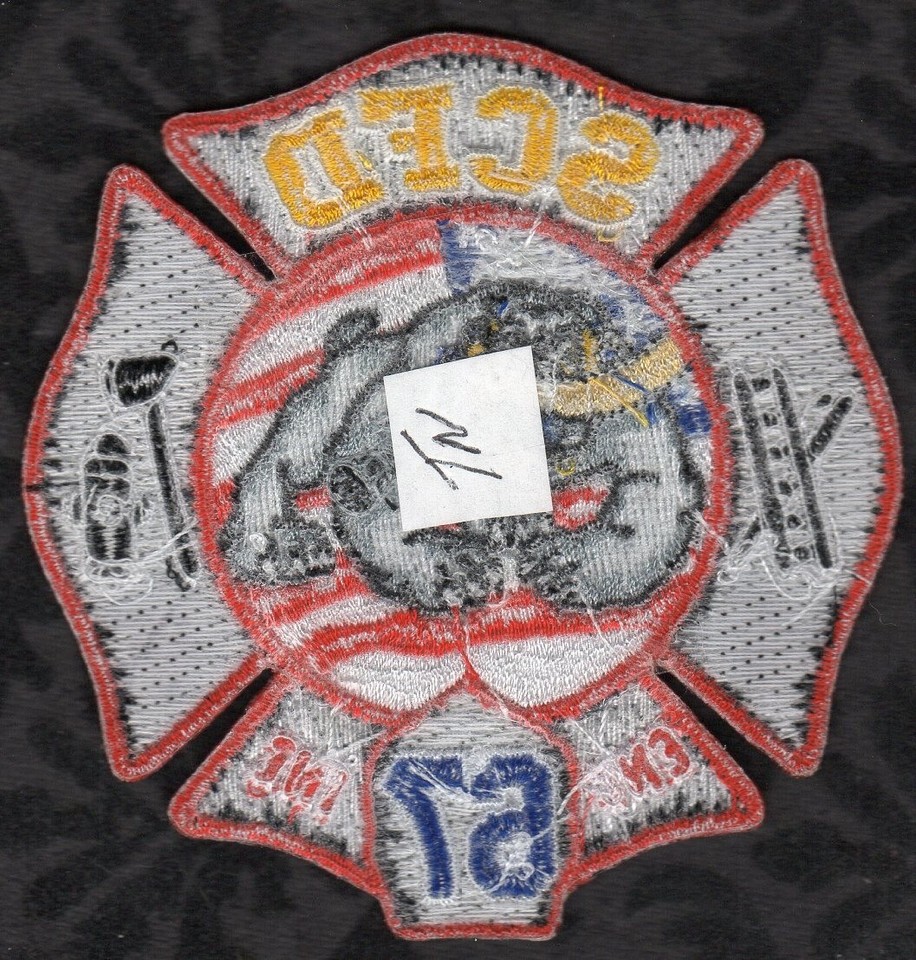 👀🤔😂👍 SCFD Tennessee FD Patch | eBay