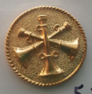 Firefighter Assistant Chief Fire Collar Brass Chain of Command 11/16 ...