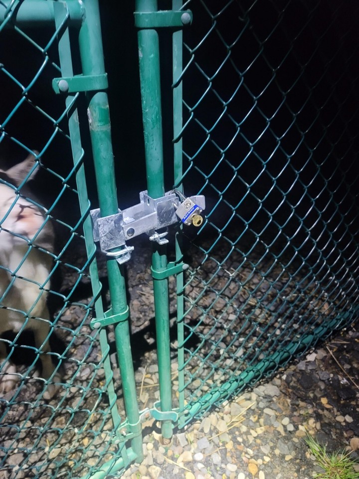 Chain Link Double Gate Latch for 1-5/8" to 2" Gate Frames Farm Driveway ...