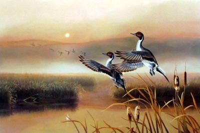 Golden Memories Duck Art Print by Darrell Davis S/N Artists Proof 24" x ...