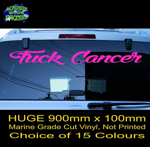 F**k Cancer Car Windscreen Sticker Decal Girls Chicks Jdm Bomb Ute HUGE ...