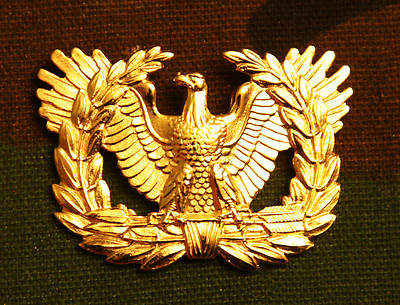 US ARMY WARRANT OFFICER CAP INSIGNIA; 22K GOLD PLATED | eBay