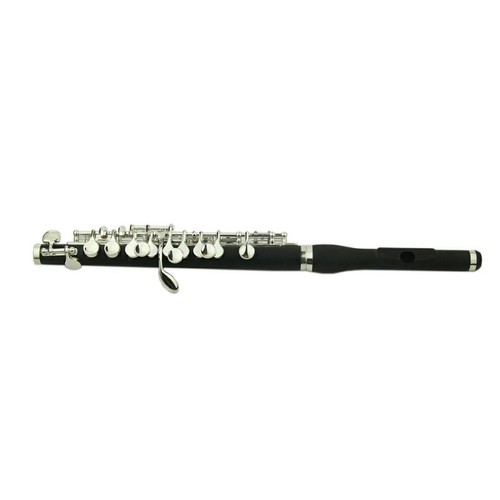 Hot Sale - Key of C Piccolo Instruments with Wooden Case Cleaning Rod ...