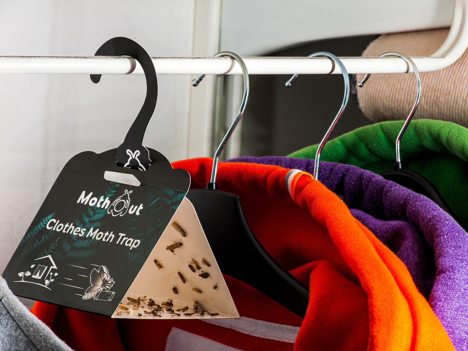 MothOut 10 Pheromone Clothes Moth Traps, Carpet Moth Traps, Anti Moth ...