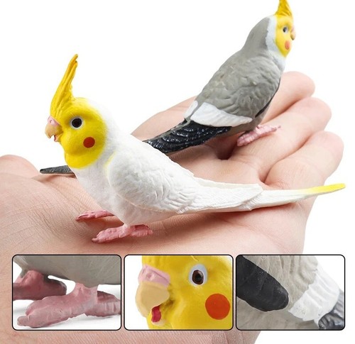 2pcs Lutino Cockatiel Animal Toy PVC Action Figure Doll Kids Toys Party ...