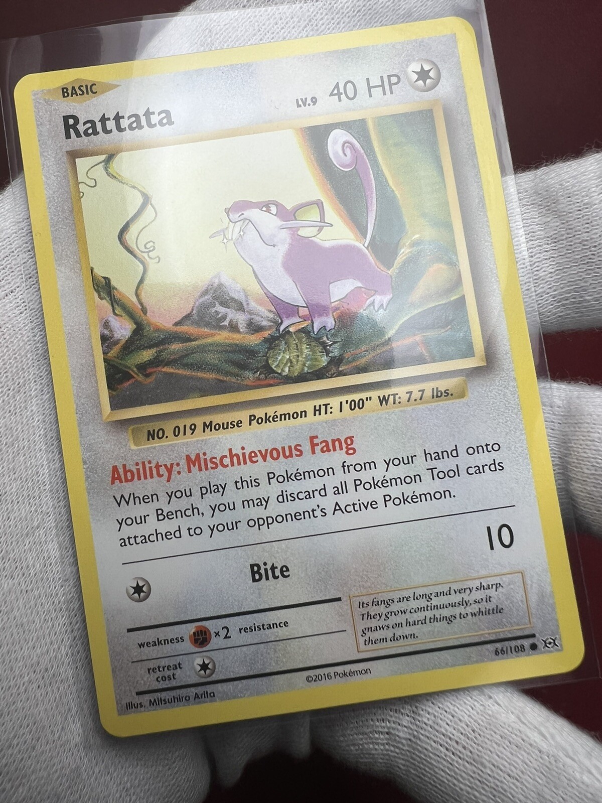 2016 Pokemon Card **Rattata Lv.9** Evolutions XY Set No. 66/108 ...