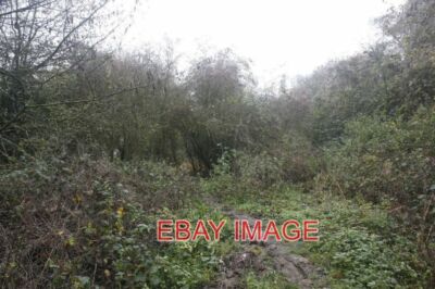 PHOTO OLD DIDCOT TO NEWBURY LINE RAN AS IT PASSED OUT OF HAMPSTEAD ...