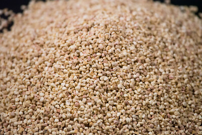 CRUSHED CORN COB ~ 250 GRAMS TO 1.5 KILOS ~ CLEANING ~ BLASTING ...