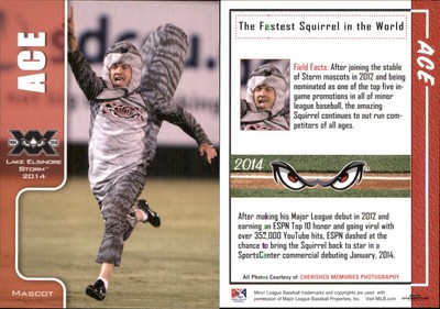 Ace 2014 Grandstand Lake Elsinore Storm RC Card | eBay
