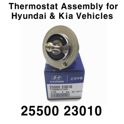 New OEM 2550023010 Thermostat Assembly For HYUNDAI & Kia Vehicles | eBay