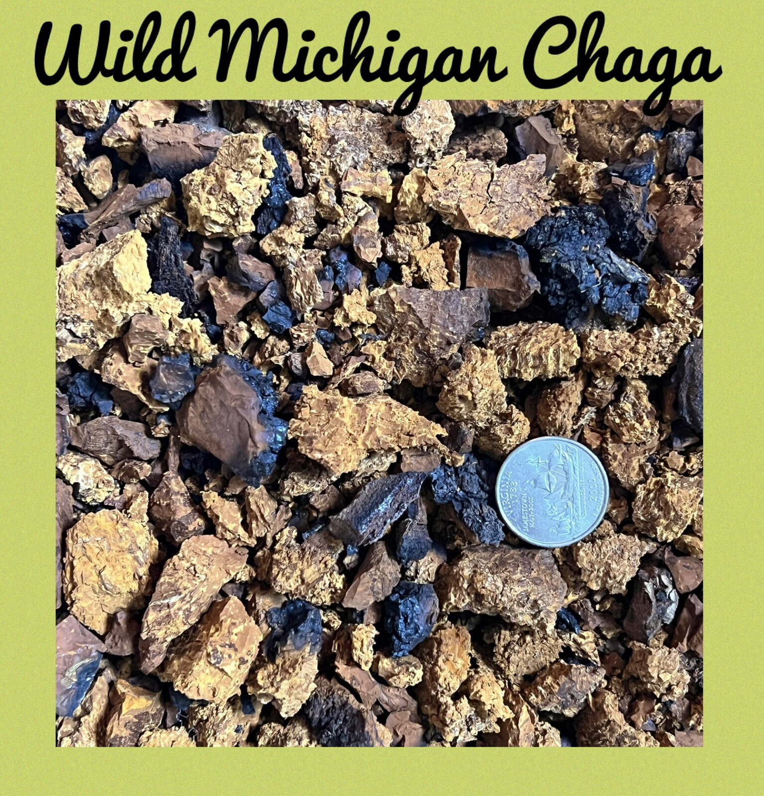1 lb Wild Michigan Chaga Mushroom Chunks | eBay