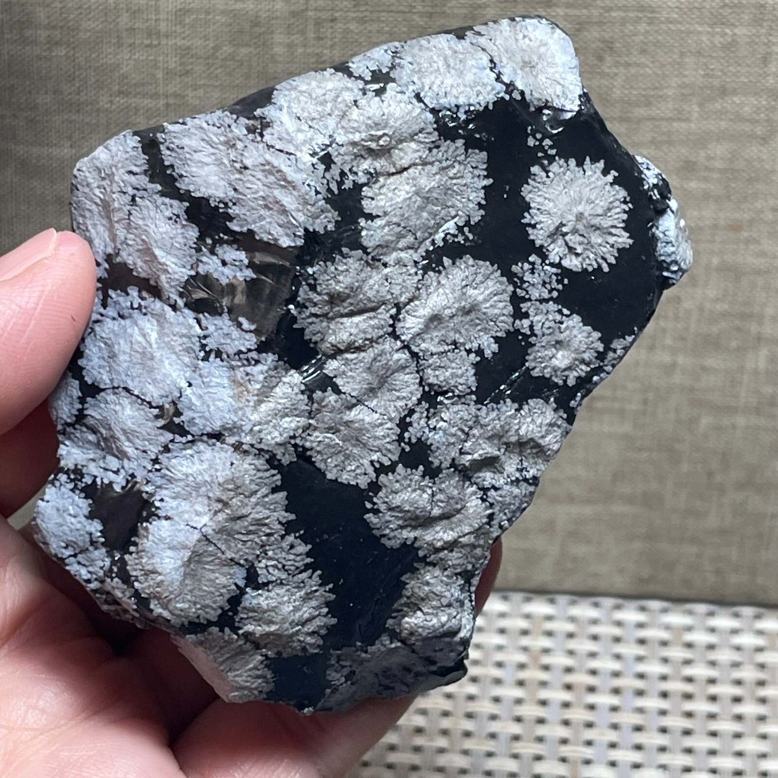 234g Natural Snowflake Obsidian raw stone rough Unprocessed Healing ...