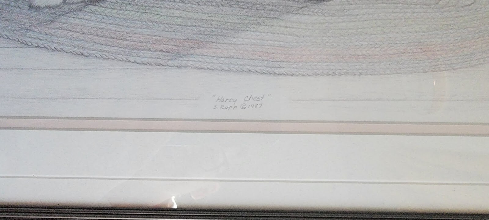 Vintage Sue Rupp Print "Harey Chest" Signed/Numbered 86/650, Rabbit Art ...