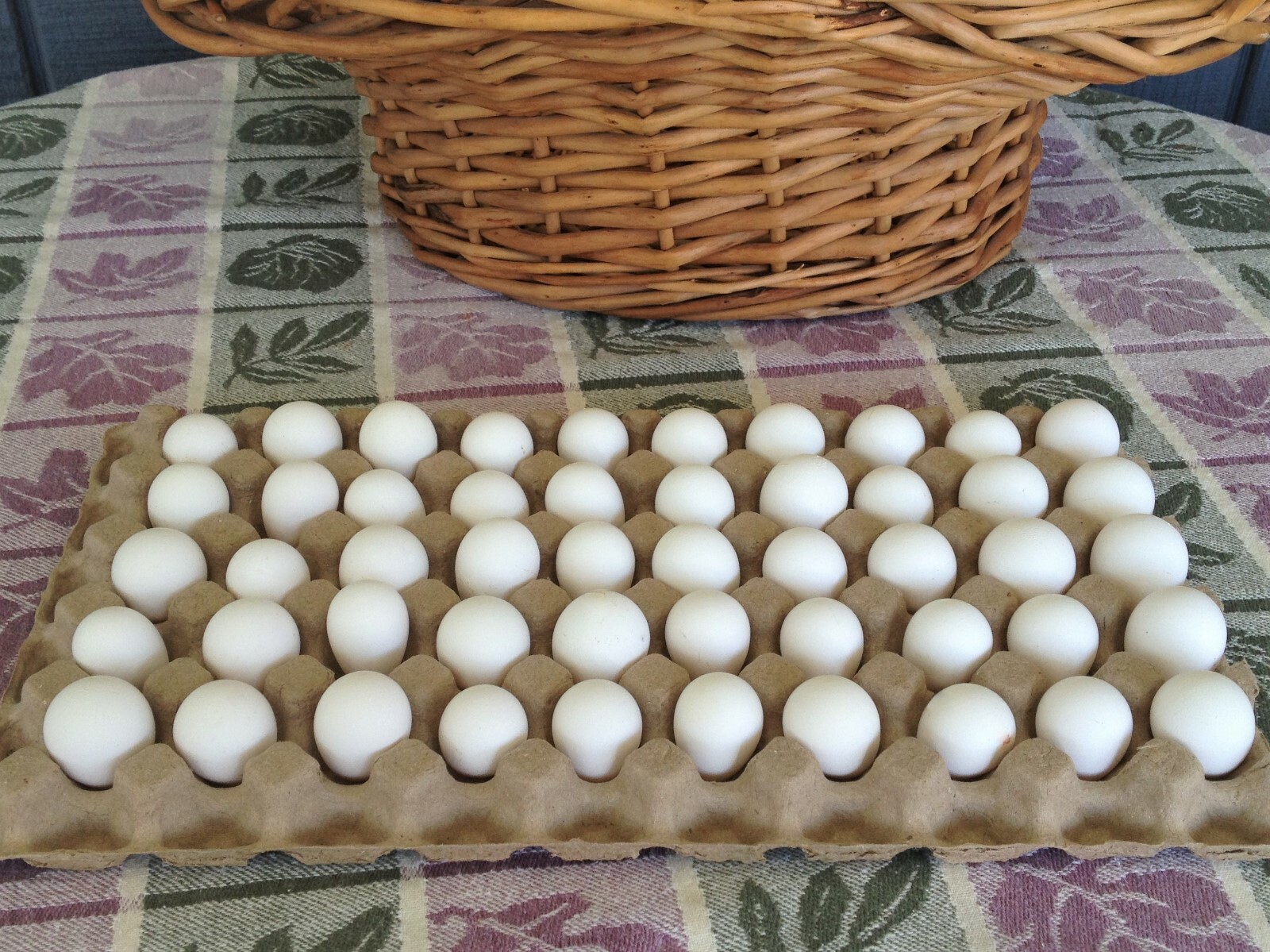 40+ "BUTLER" BOBWHITE QUAIL HATCHING EGGS | eBay