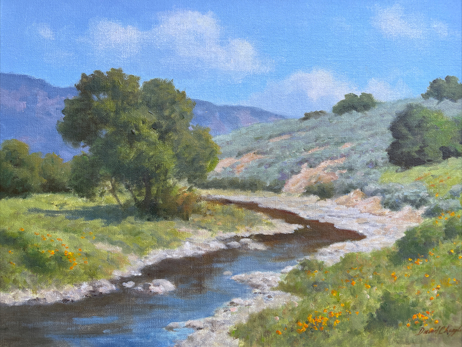 David Chapple Painting Listed Famous American Landscape Artist Western ...