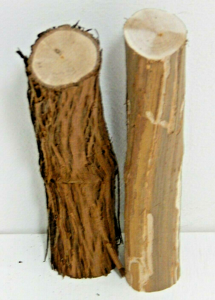 2 Grapevine Wood Section Stick Driftwood Nature Decor Crafts 1 1/8~1 1/ ...