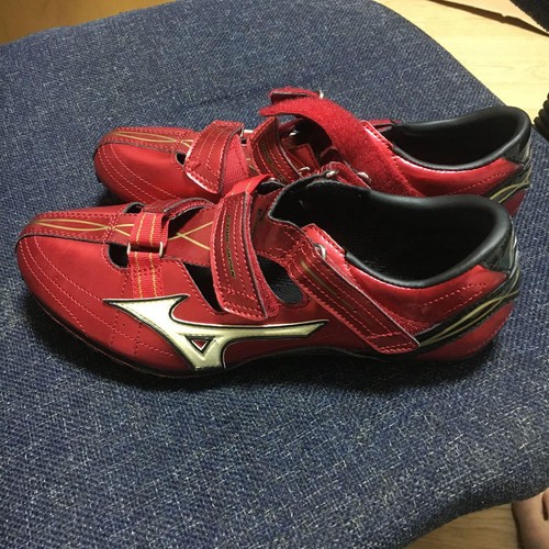 Land spikes (short distance) | eBay