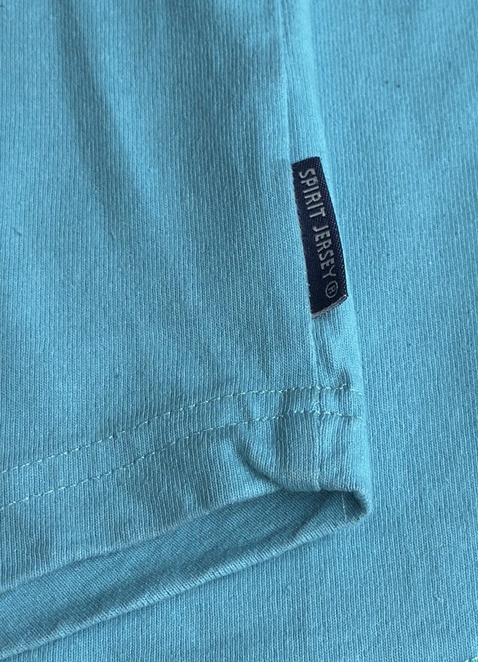 Walt Disney World Aqua Blue-Green and Purple Spirit Jersey Adult Size ...