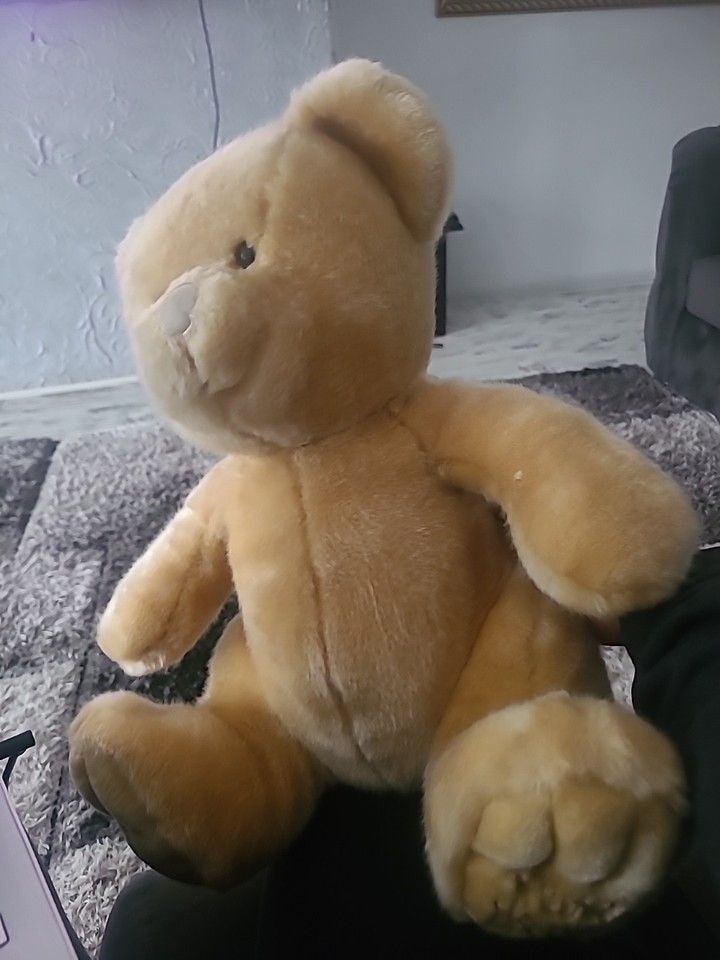 Teddy Bear | eBay UK