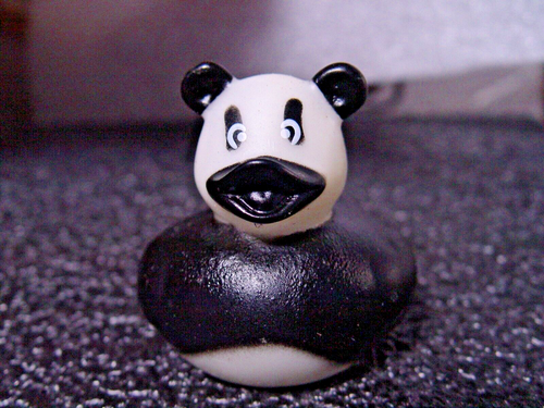 RINCO Panda Rubber Duck 2" Pool Bath Toy Jeep Ducking Zoo Animal Ducky ...