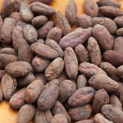 Unroasted Costa Rican Cacao / Cocoa Beans | eBay
