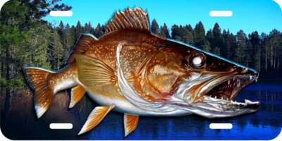Walleye Fish Fishing Fresh Water Wild Aluminum Car Vanity Plate Tag ...