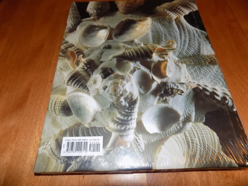SHELLS Marine Life Mollusks Mollusk Seashell Seashells Ocean Shell RARE ...