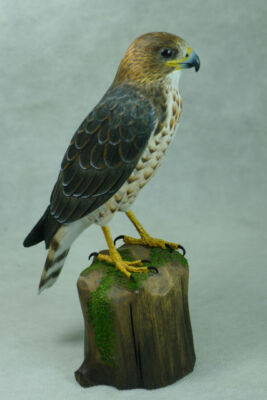 Broad-winged Hawk Original Wood Carving | eBay