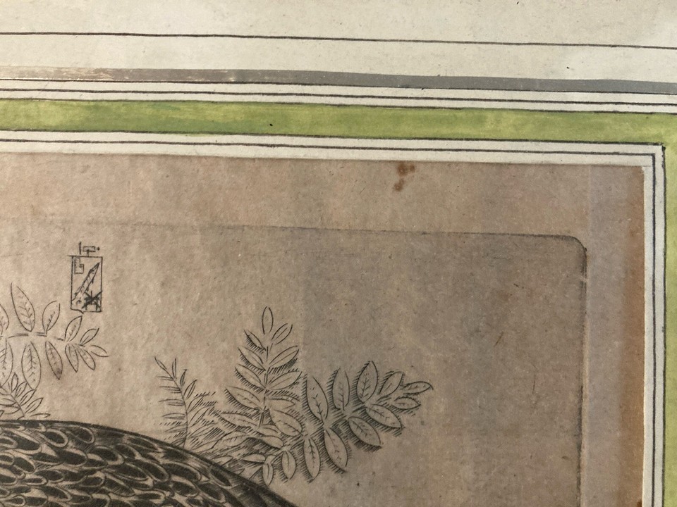 Very Beautiful Engraving Joseph Hecht Royal Eagle Art Animal Rare 1928 ...