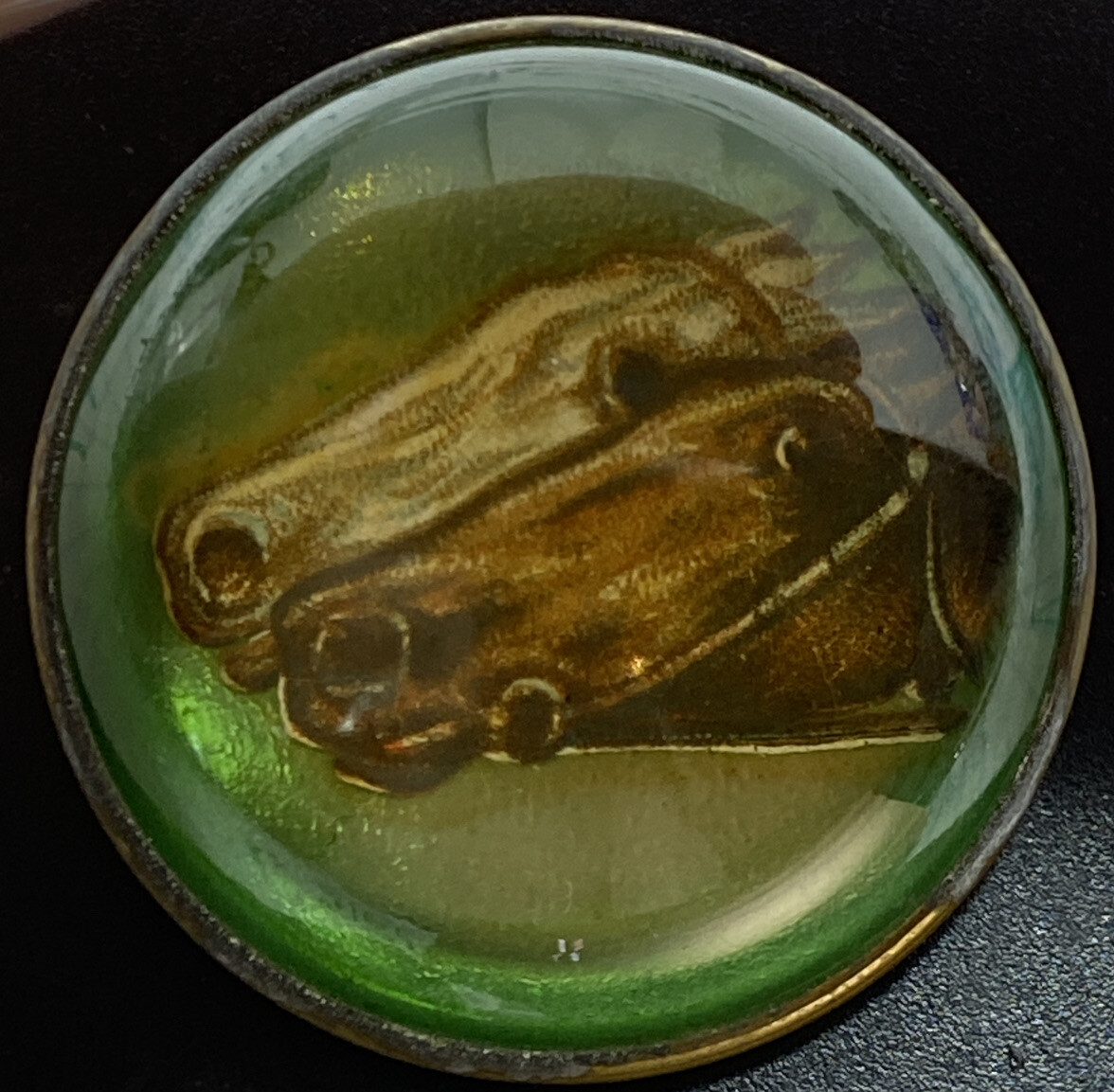 ANTIQUE Victorian Equestrian HORSE BRIDLE ROSETTE Dome GLASS Button ...