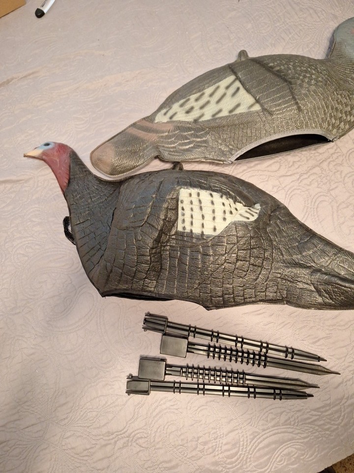 2 Foldable/collaspsable Turkey Decoys Jake & Hen | eBay