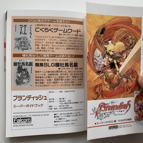 Brandish Super Guidebook *First edition 1994 #PCH03R | eBay